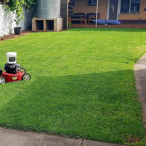 Delivering professional grade lawn care products direct to your home.
